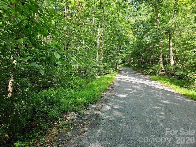 Sandpiper Ave Unit 163, Lake Lure, NC 28746