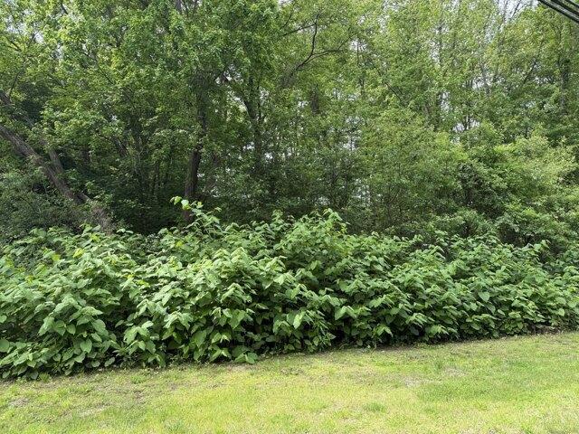 Sandra Ave, Plymouth, Plot For Sale