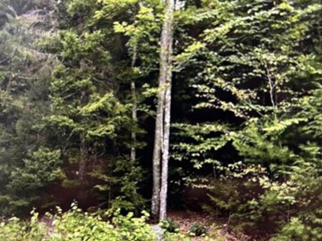 Sandy Acres Dr, Sullivan, Plot For Sale