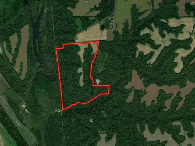 Sandy Branch Rd, Bardwell, KY 42023