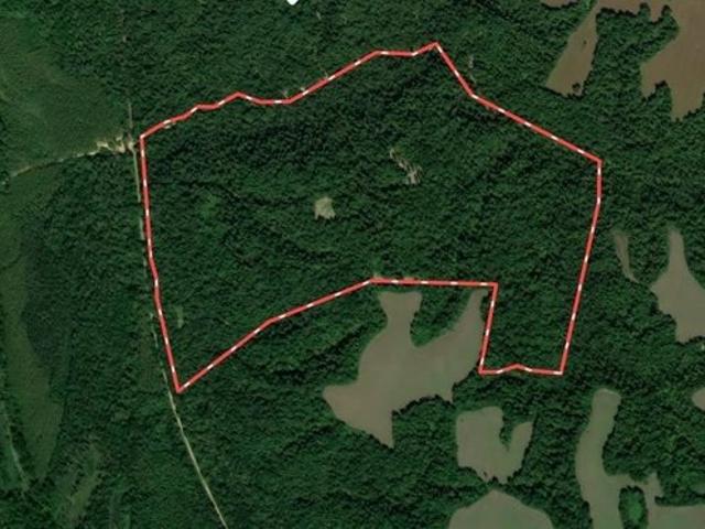 Sandy Branch Rd, Bardwell, KY 42023