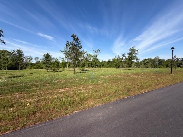 Sandy Creek Ln, Mobile, AL 36695