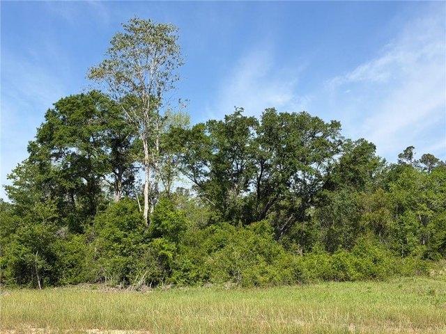 Sandy Creek Ln, Mobile, AL 36695
