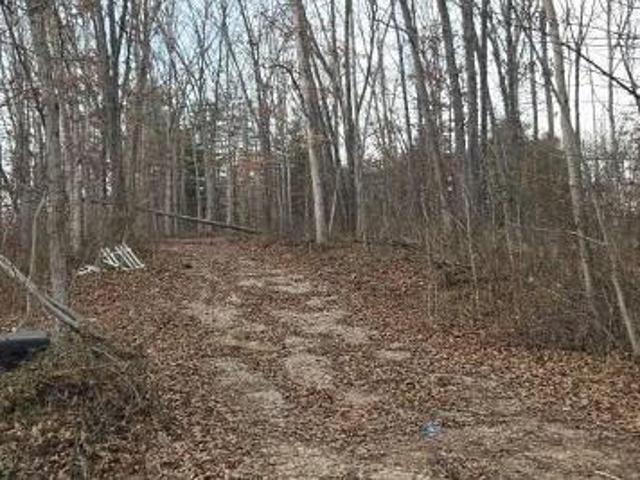 Sandy Rd