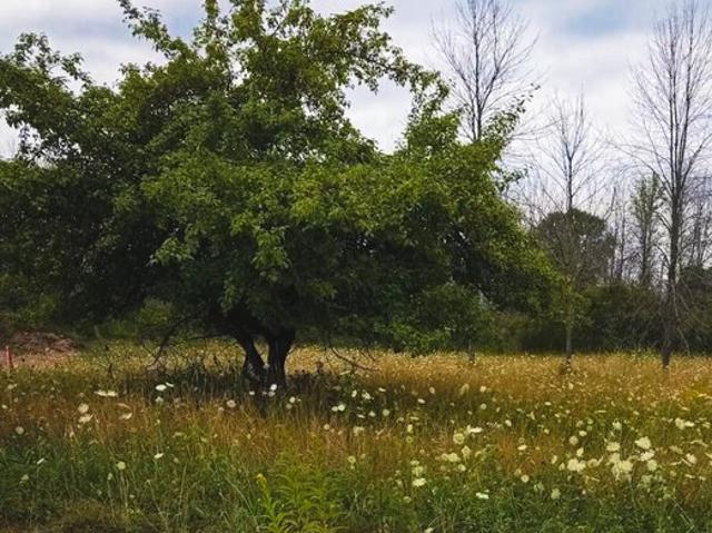 Sandy Ridge Blk2 Dr Lot 21, Two Rivers, WI 54241
