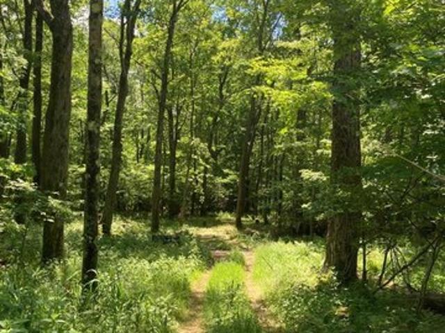 Sandy Run Rd Lot Angle, Confluence, PA 15424