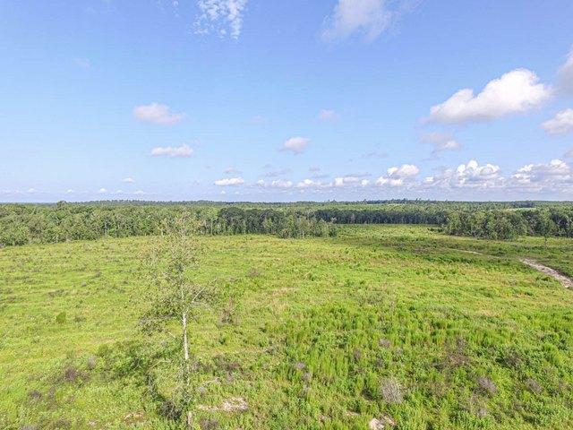 Sandydale, Livingston, TX 77351