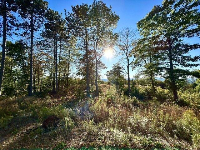 Sangerville ME 04479 LS102158188