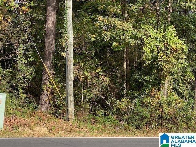 Sanie Rd Lot 1, Odenville, AL 35120