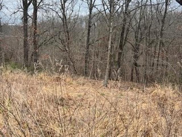 Sanquhar Ln Lot 14, Bella Vista, AR 72715