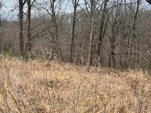 Sanquhar Ln Lot 14, Bella Vista, AR 72715