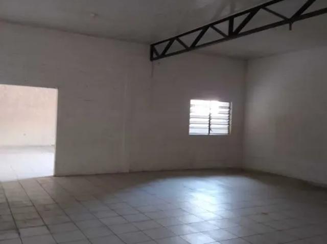 Sao leopoldo loja feitoria