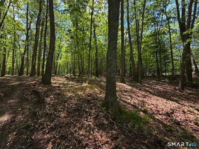 Sabin St, Putnam, Plot For Sale