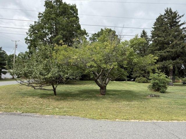 Sable St, Port Kent, NY 12975