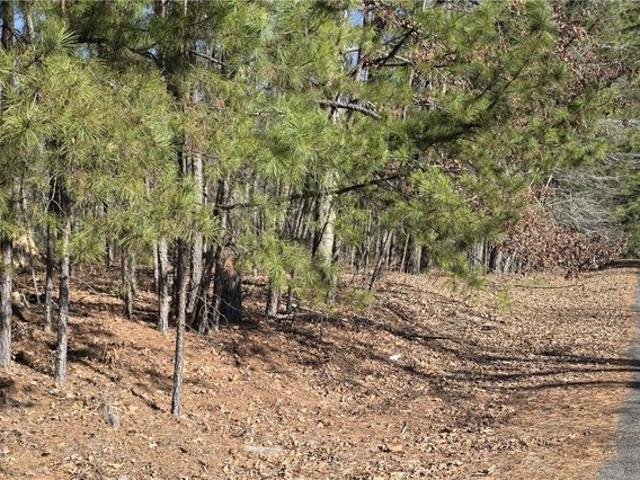 Sacedon Way Lot 2, Hot Springs Village, AR 71909