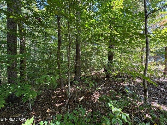 Saddle Brook Way Lot 6, Sevierville, TN 37862