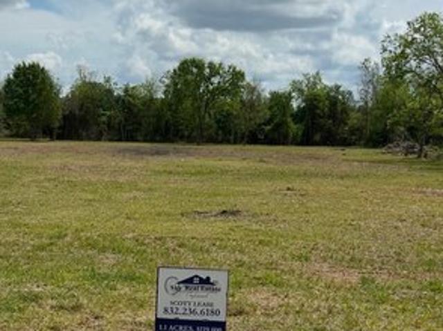 Saddle Dr, Pleak, TX 77461