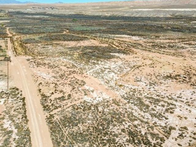 Saddle, Overton, NV 89040