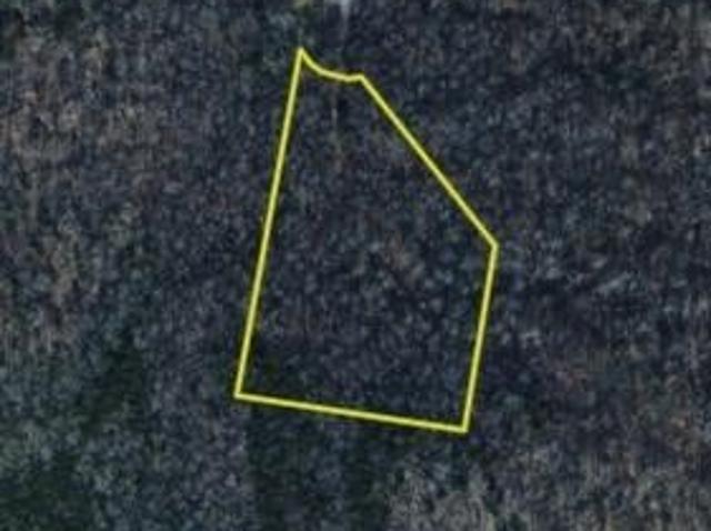 Saddle Ln, Hartsville, TN 37074