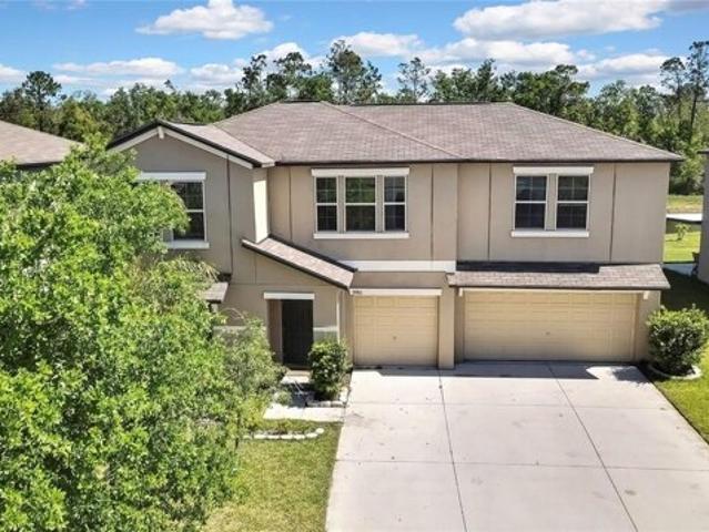Saddle Palm Way, Zephyrhills, Home For Sale