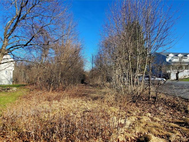 Saddle Ridge Road