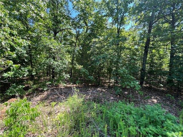 Saddle View Dr Lot K, Yellville, AR 72687