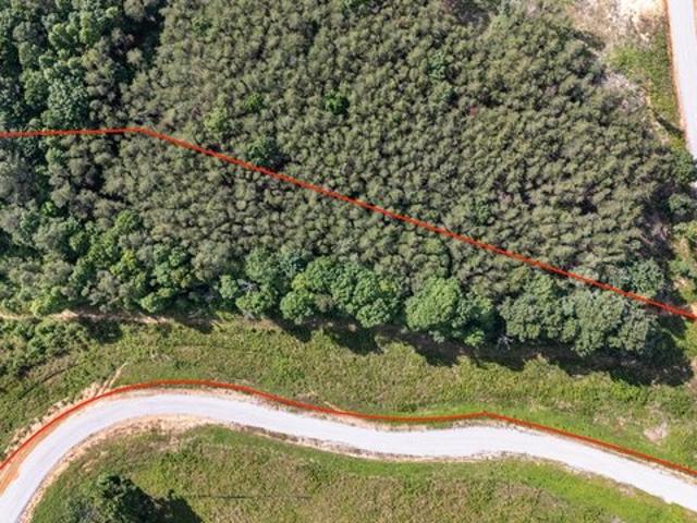 Saddleback Rd, Dunlap, TN 37327
