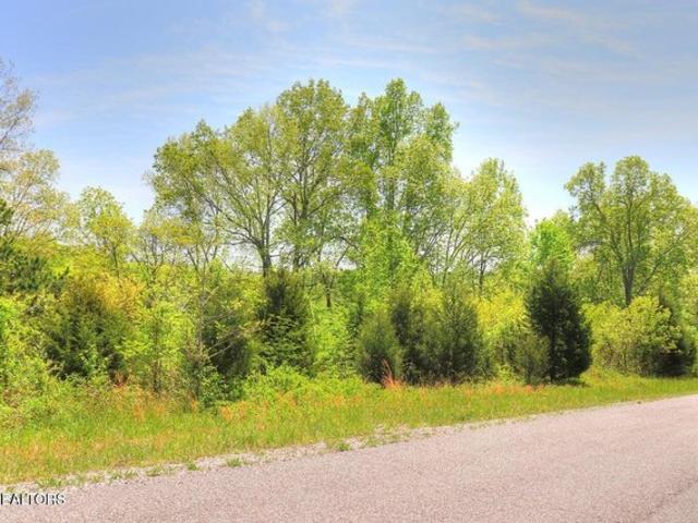 Saddleridge Dr Lot 172, Speedwell, TN 37870