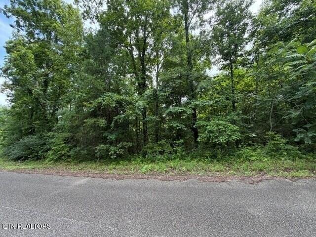 Saddleridge Dr, Speedwell, TN 37870