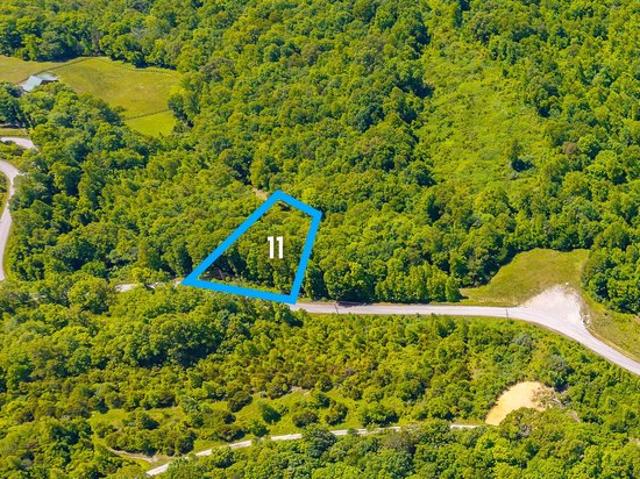 Saddleridge Dr, Speedwell, TN 37870