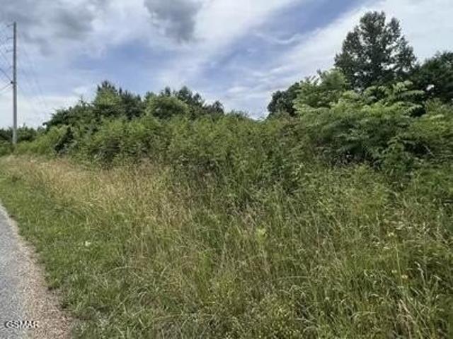 Saddleridge Dr, Speedwell, TN 37870