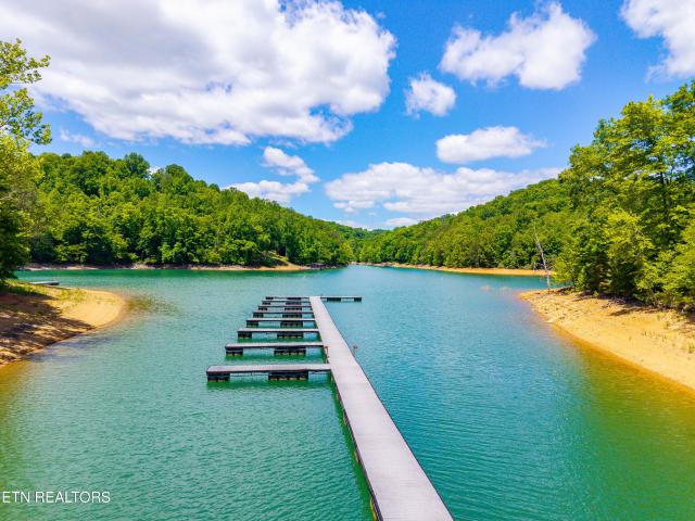 Saddleridge Drive, Speedwell, TN 37870
