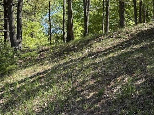 Sadie Ln, Bear Lake, MI 49614