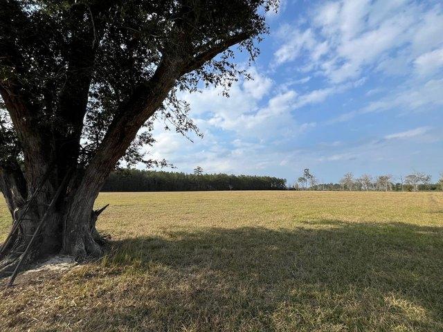 Safe Haven Dr Lot D4, Walker, LA 70785