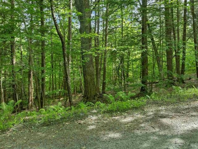 Safford Rd, Hartford, Plot For Sale