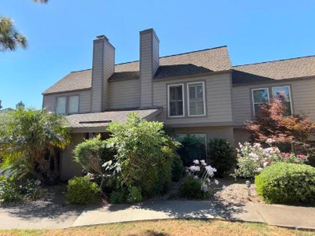 Safflower Pl
