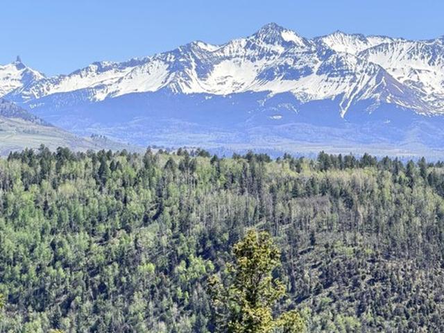 Sage Grouse N Lot 9, Placerville, CO 81430