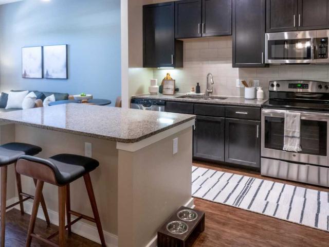 SageStone Village 1 Bedroom Apartment for Rent at 3255 Sagestone Dr, Fort Worth, TX 76177