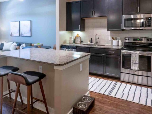 SageStone Village 1 Bedroom Apartment for Rent at 3255 Sagestone Dr, Fort Worth, TX 76177