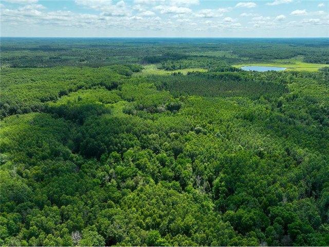 Sago 5, Swan River, MN 55784