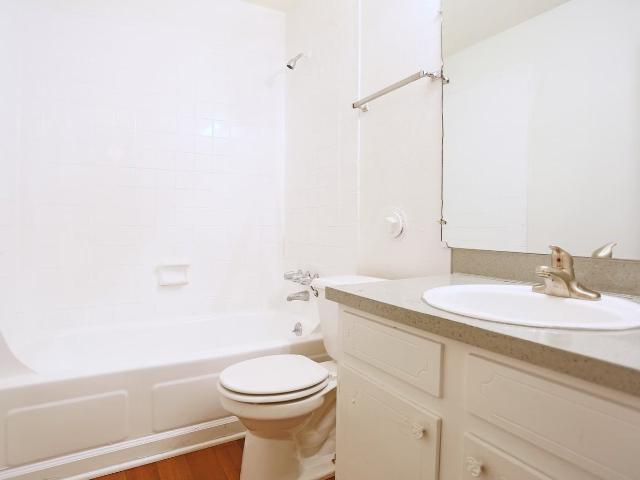 Sailboat Bay 2 Bedroom Apartment for Rent at 5417 Albemarle Road, Charlotte, NC 28212 Sheffield Park