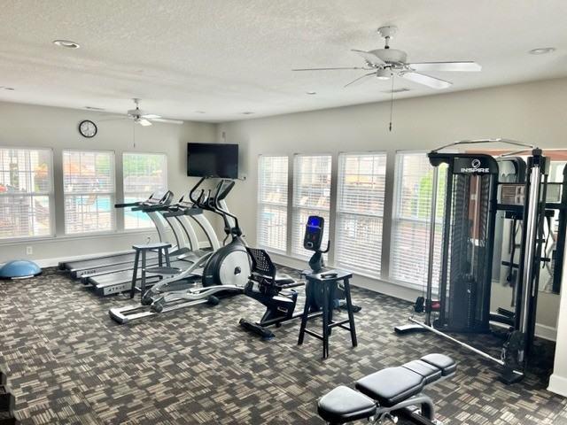 Saint Andrews Apartments 2 Bedroom Apartment for Rent at 910 Saint Andrews Dr, Murfreesboro, TN 37128