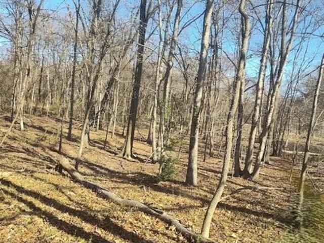 Saint Barnabas Rd, Oxon Hill, MD 20745