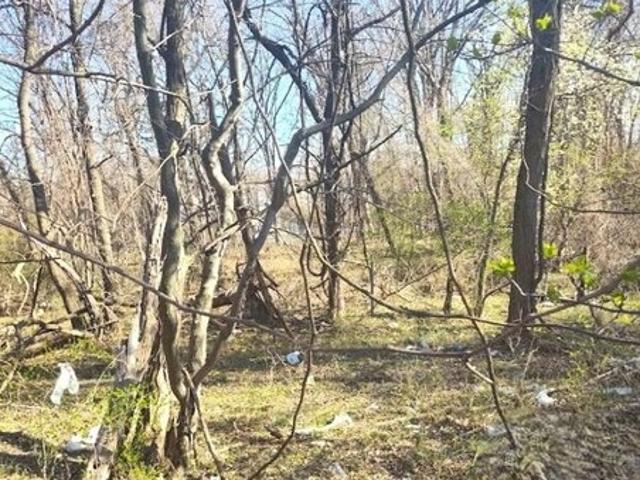 Saint Barnabas Rd, Oxon Hill, MD 20745