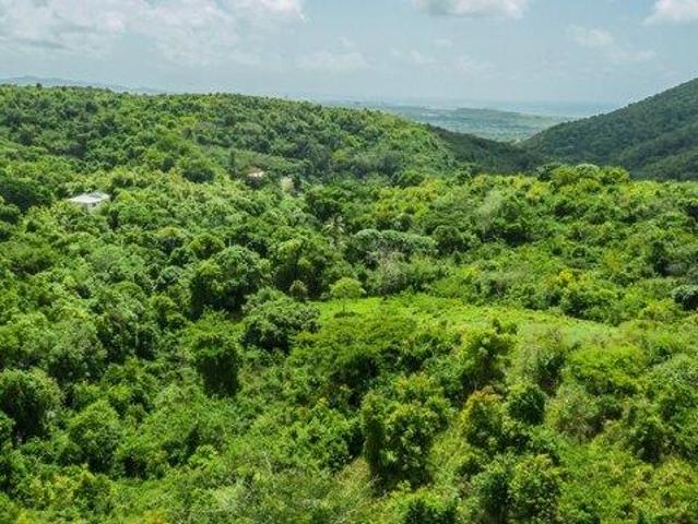 Saint Croix IN 00840 103220912