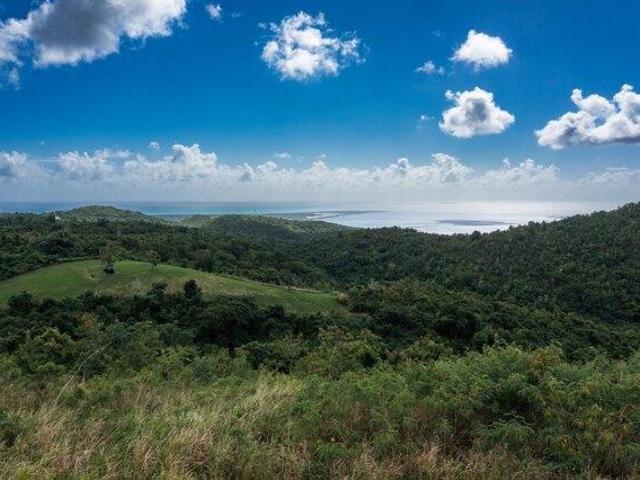 Saint Croix IN 00840 LS102961412