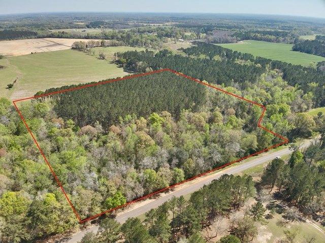Saint Mary Rd Lot 2, Cottonwood, AL 36320