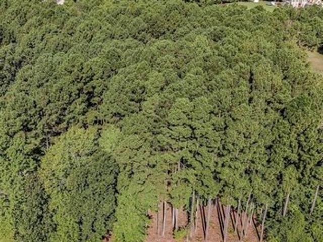 Saintsbury Pl, Sanford, NC 27332