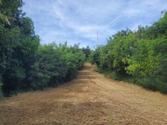 Salt Riv # Nb, Saint Croix, Plot For Sale