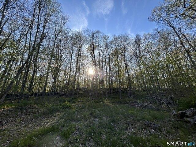 Salt Rock Rd, Sprague, Plot For Sale